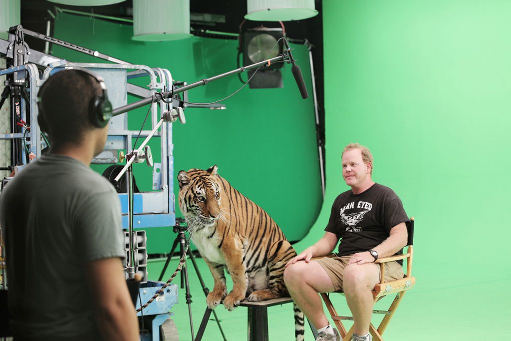 Who Or What Is | Welcome To Your Pet Space!